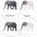 Montessori 3 Part Cards Parts of an Elephant - Etsy