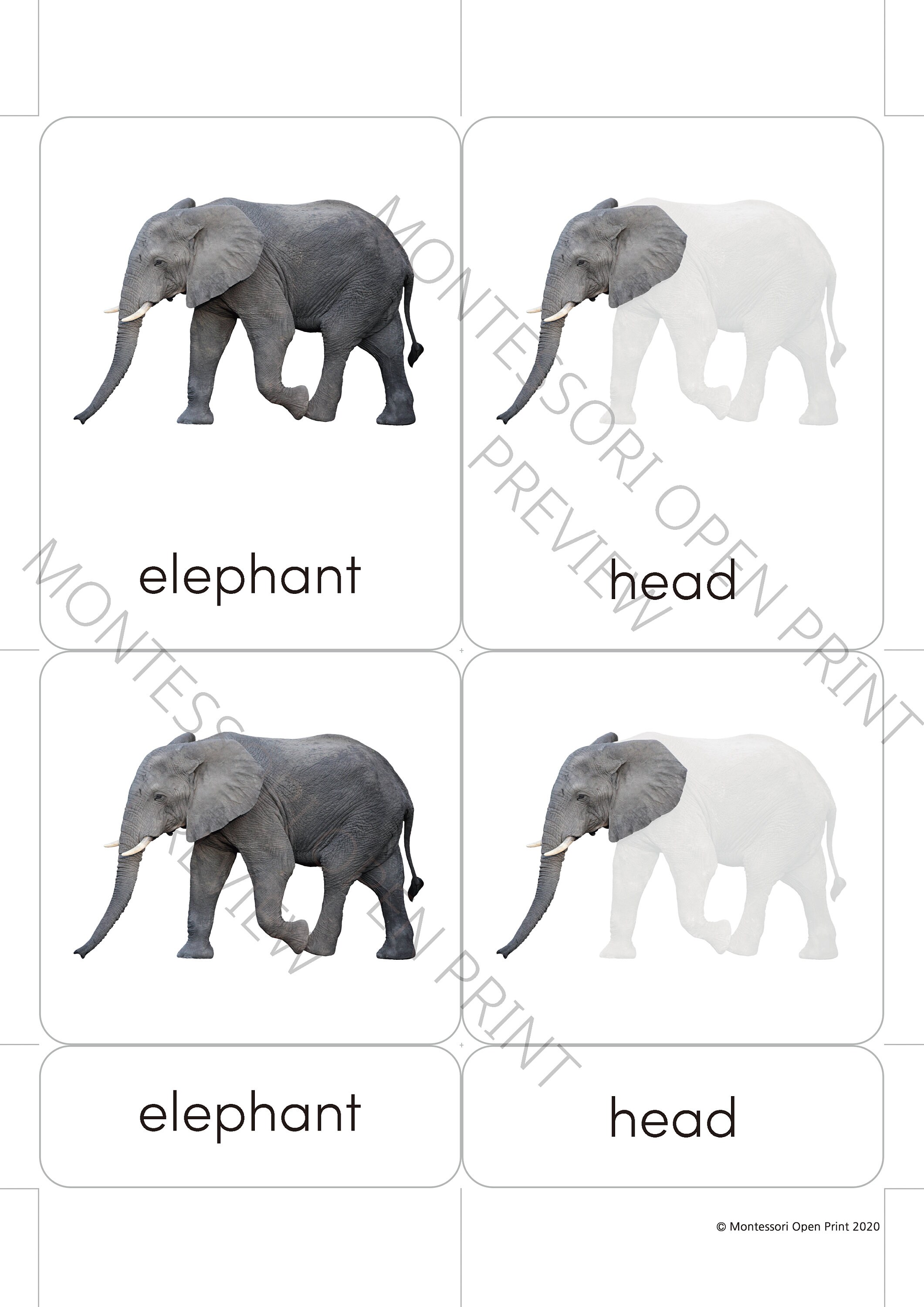 Montessori 3 Part Cards Parts of an Elephant - Etsy