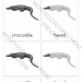 Montessori 3 Part Cards Parts of a Crocodile - Etsy