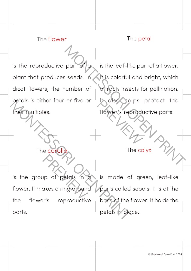 Montessori 3 Part Cards and Definitions Parts of the Dicot Flower - Etsy