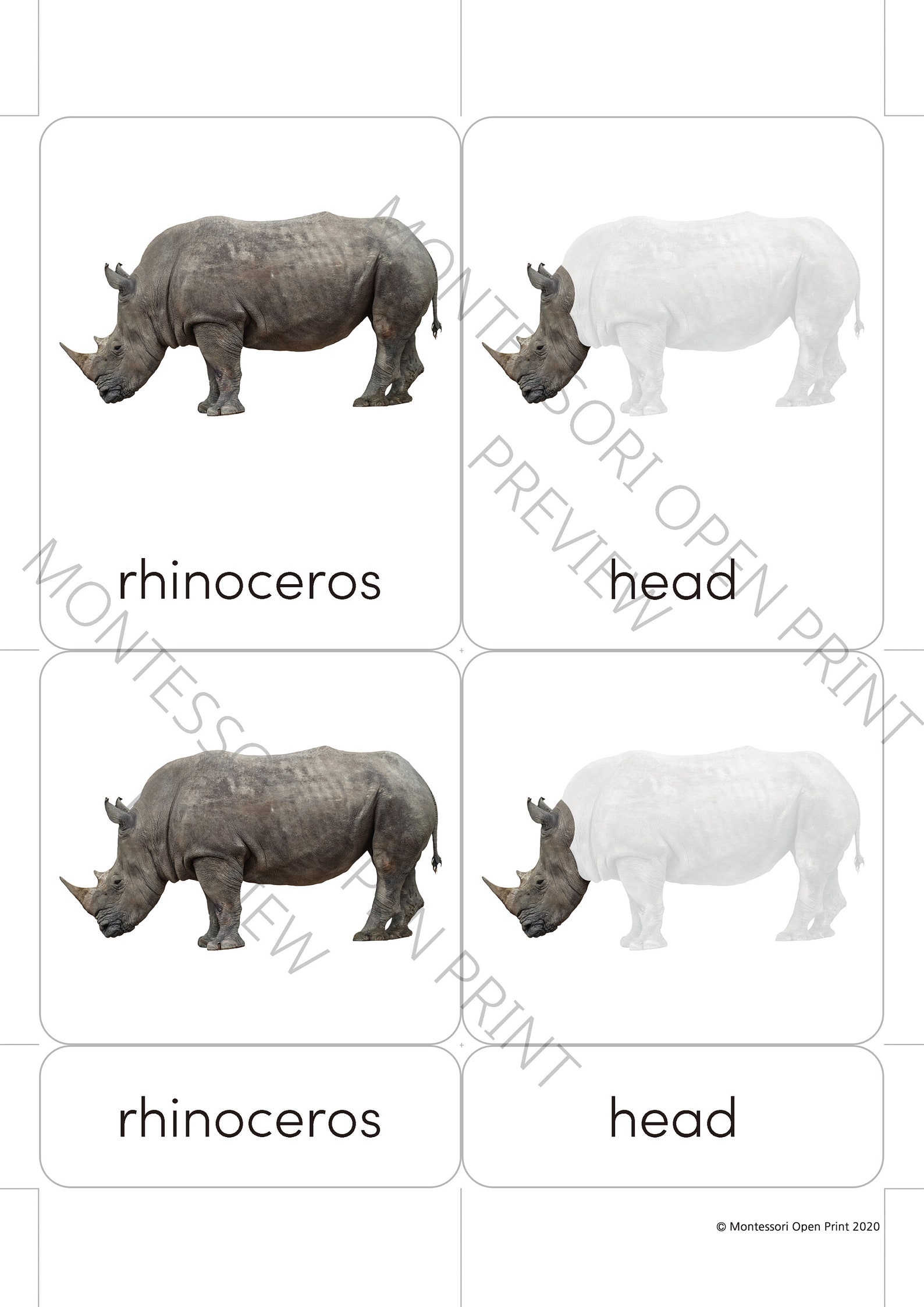 Montessori 3 Part Cards- Parts of a Rhinoceros - Etsy