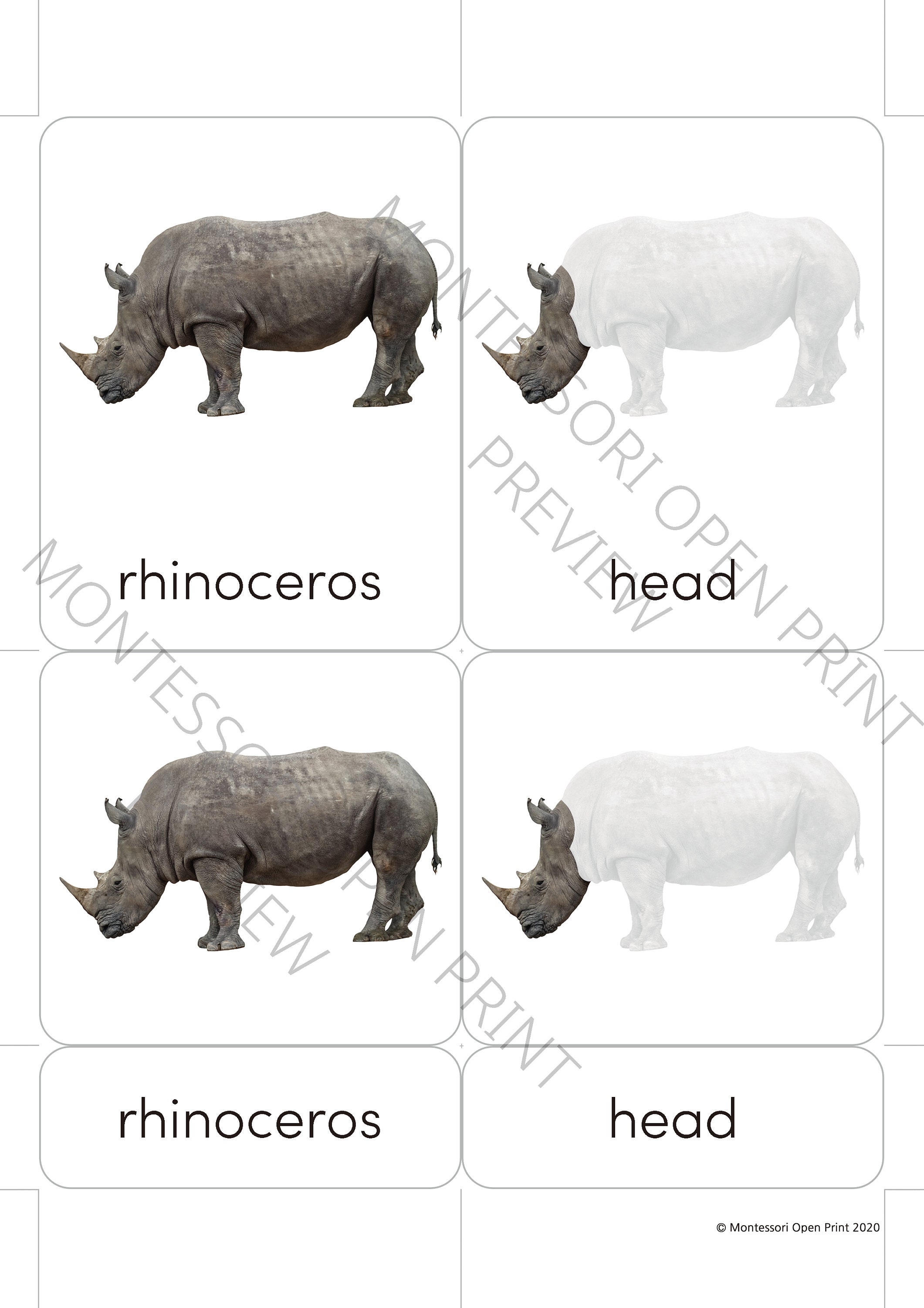 Montessori 3 Part Cards- Parts of a Rhinoceros - Etsy