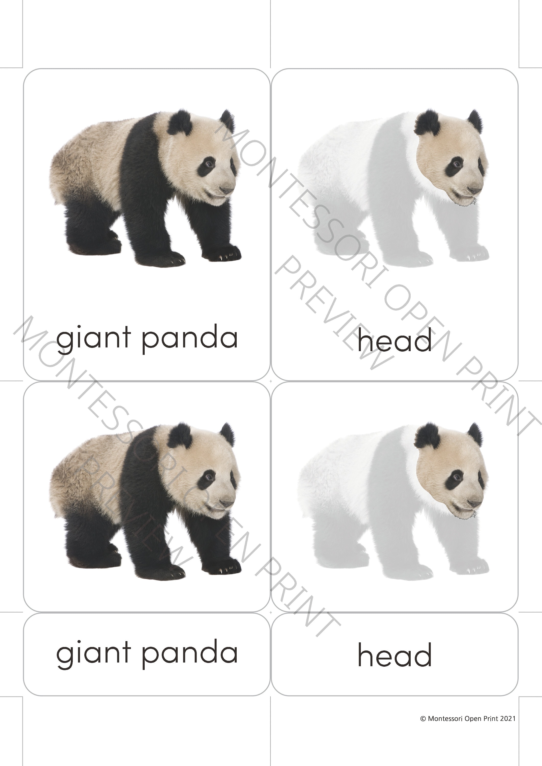 Montessori 3 Part Cards- Parts of a Giant Panda - Etsy