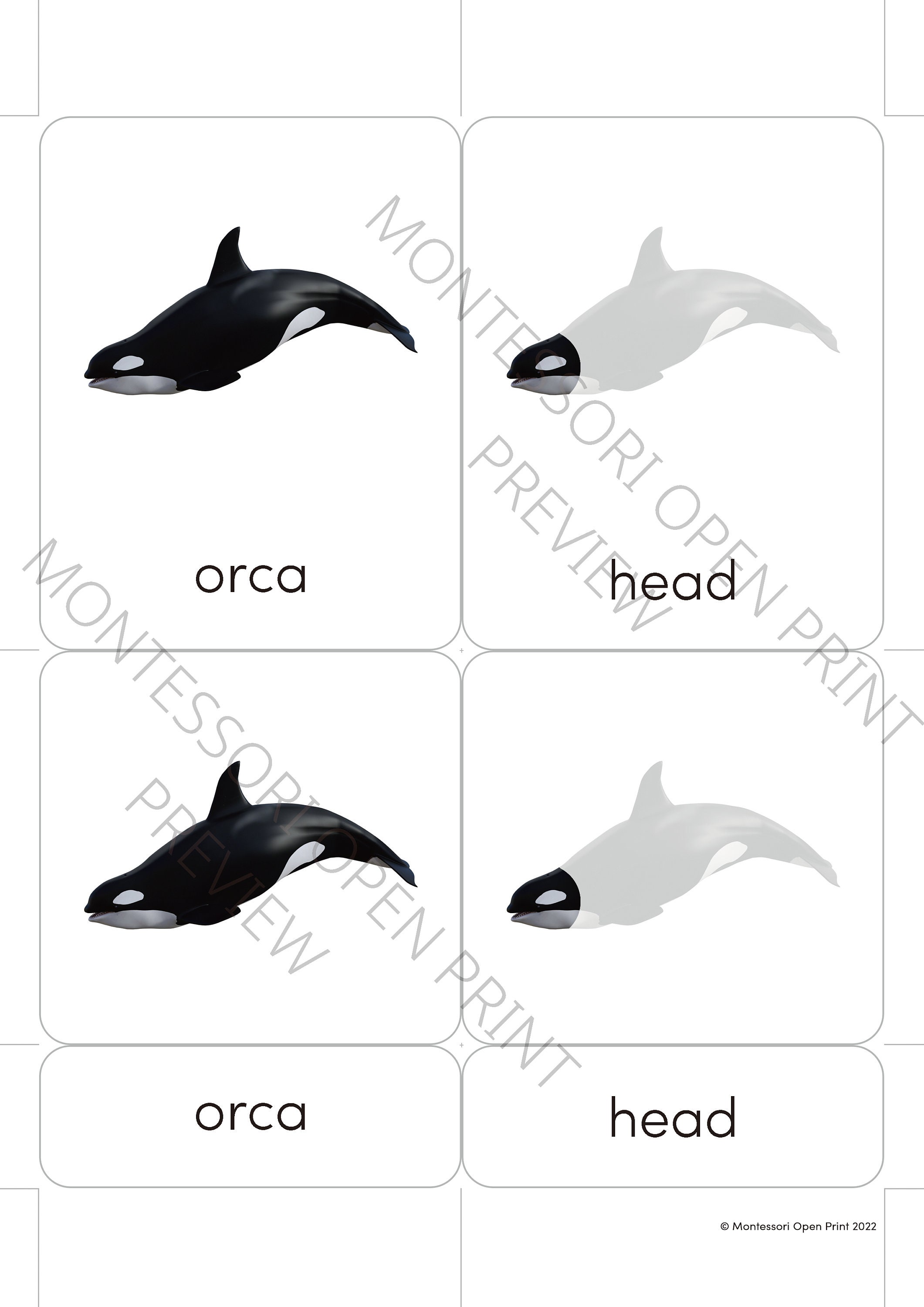 Montessori 3 Part Cards Parts of an Orca - Etsy