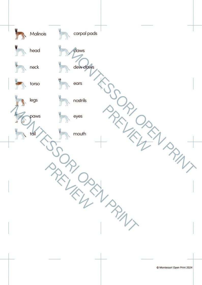 Montessori 3 Part Cards Parts of a Dog and 12 Dog Breeds - Etsy