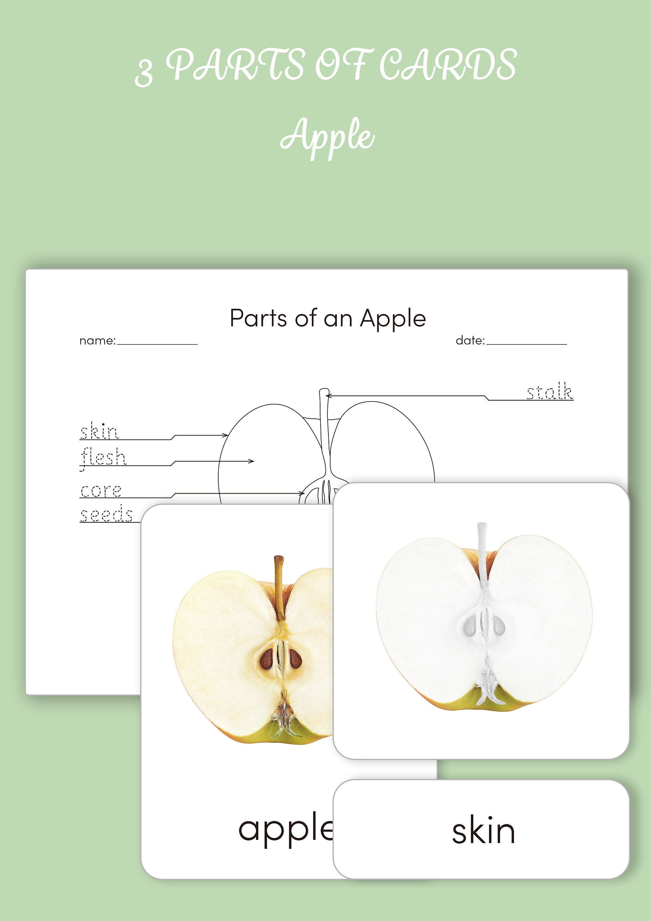 Montessori 3 Part Cards Parts of an Apple - Etsy