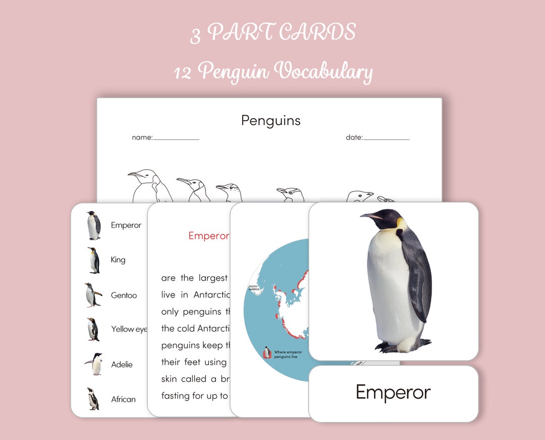 Montessori 3 Part Cards 12 Penguin Vocabulary - Etsy