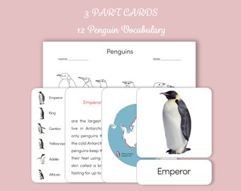 montessoriopenprint - Etsy