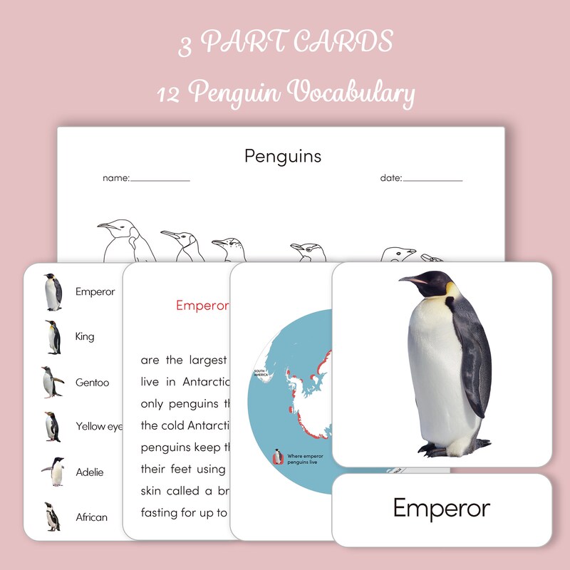 montessoriopenprint - Etsy