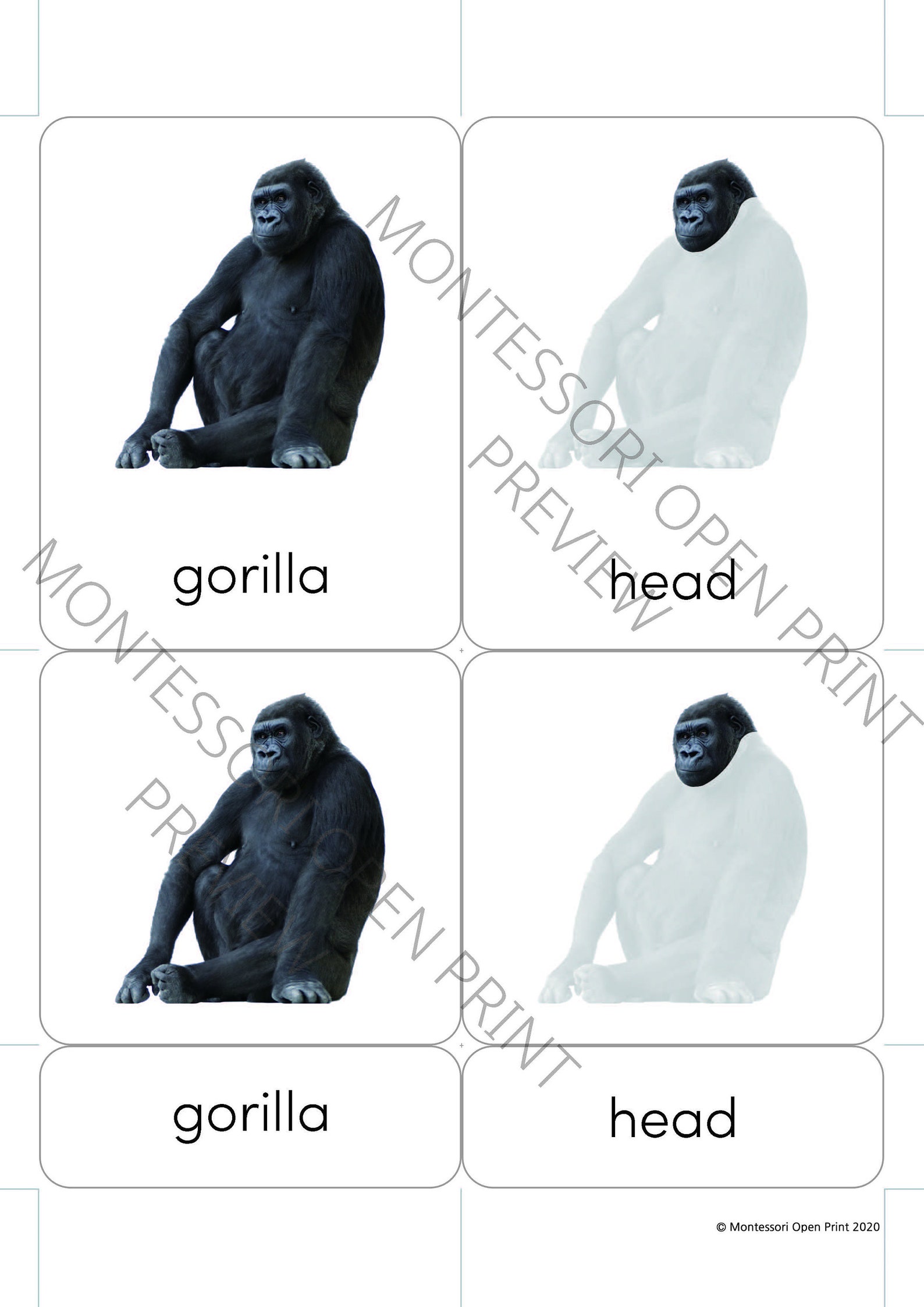 Montessori 3 Part Cards Parts of a Gorilla - Etsy