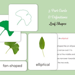 montessoriopenprint - Etsy