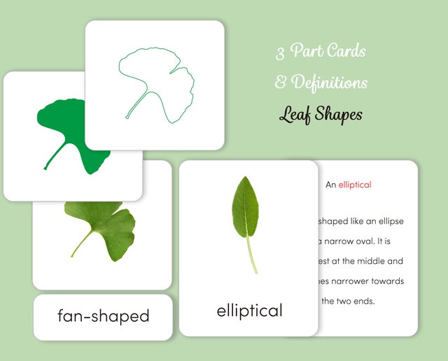 montessoriopenprint - Etsy