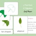Montessori 3 Part Cards Parts of a Rabbit - Etsy Canada