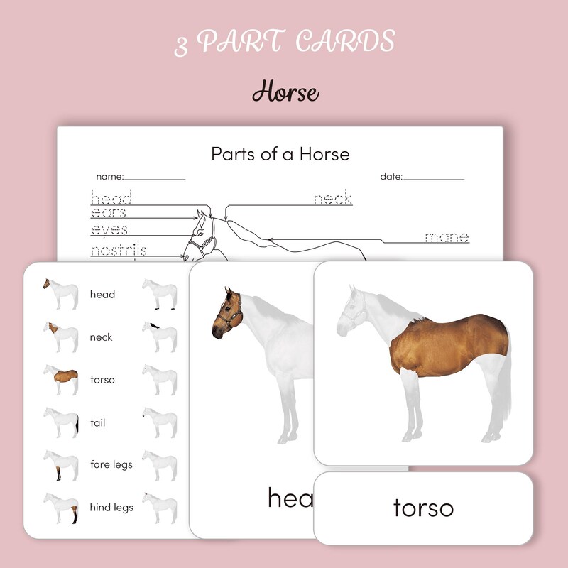 montessoriopenprint - Etsy