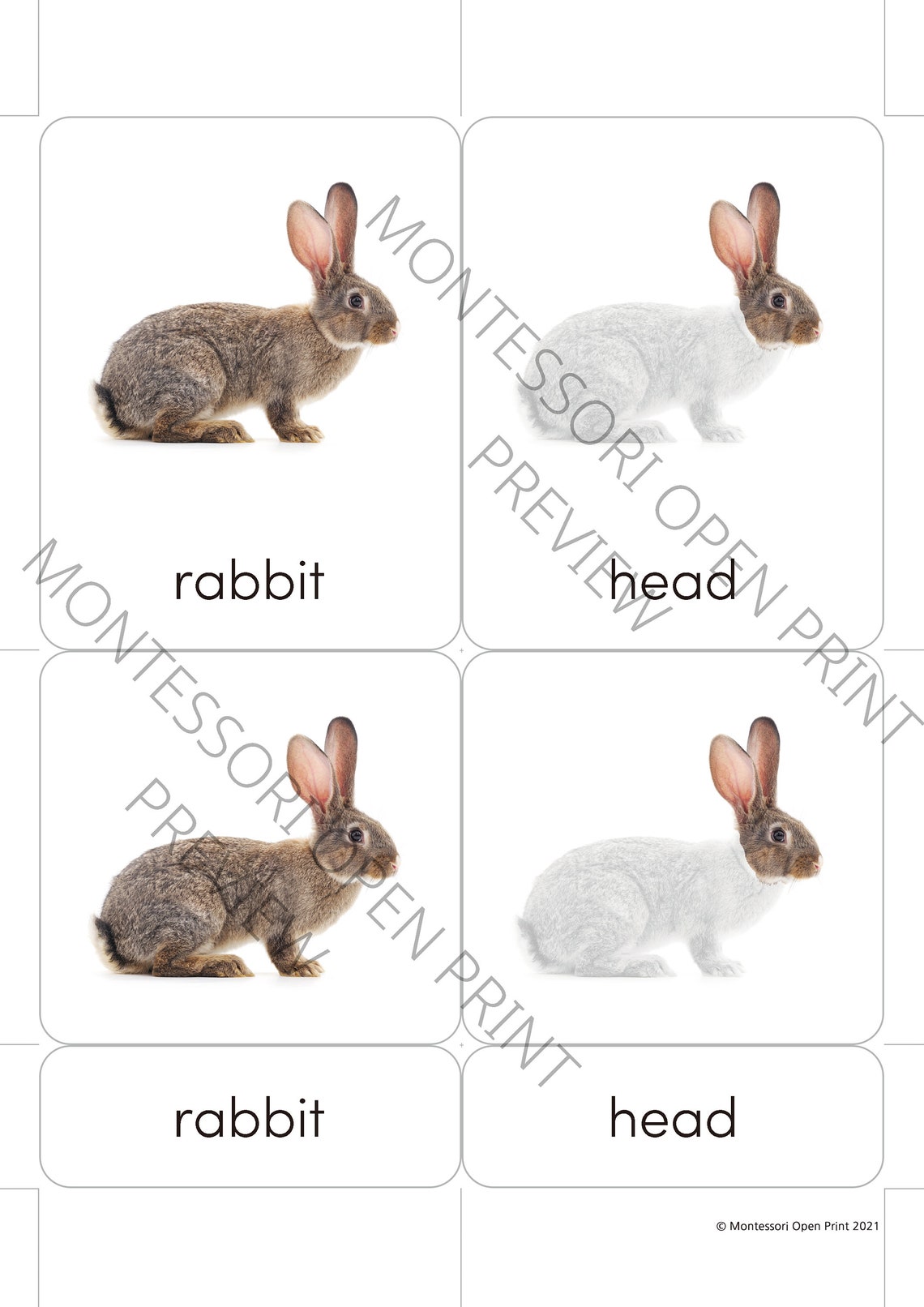 Montessori 3 Part Cards Parts of a Rabbit - Etsy