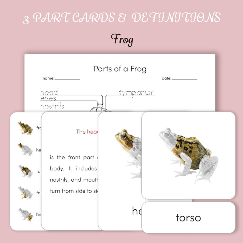 montessoriopenprint - Etsy