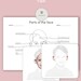 Montessori 3 Part Cards Parts of the Face - Etsy