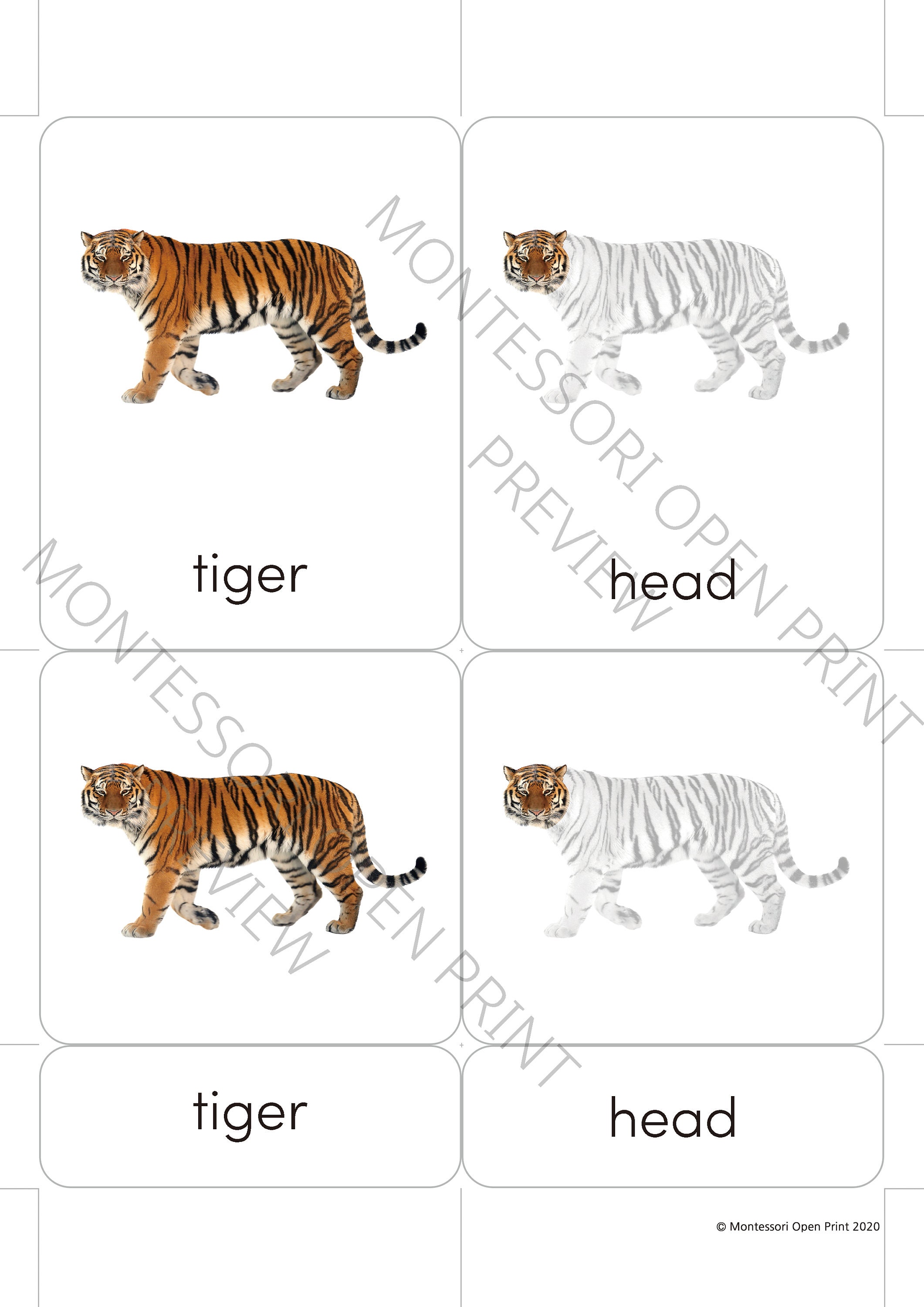 Tiger Body Parts