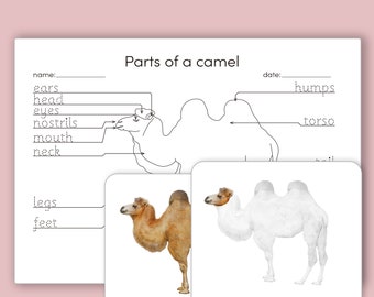 montessoriopenprint - Etsy