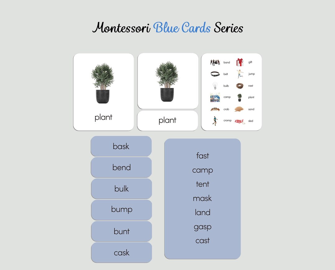 Montessori Blue Phonetic Series - Etsy
