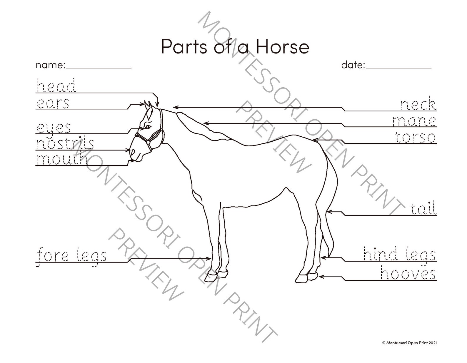 Montessori 3 Part Cards and Definitions Parts of the Horse - Etsy