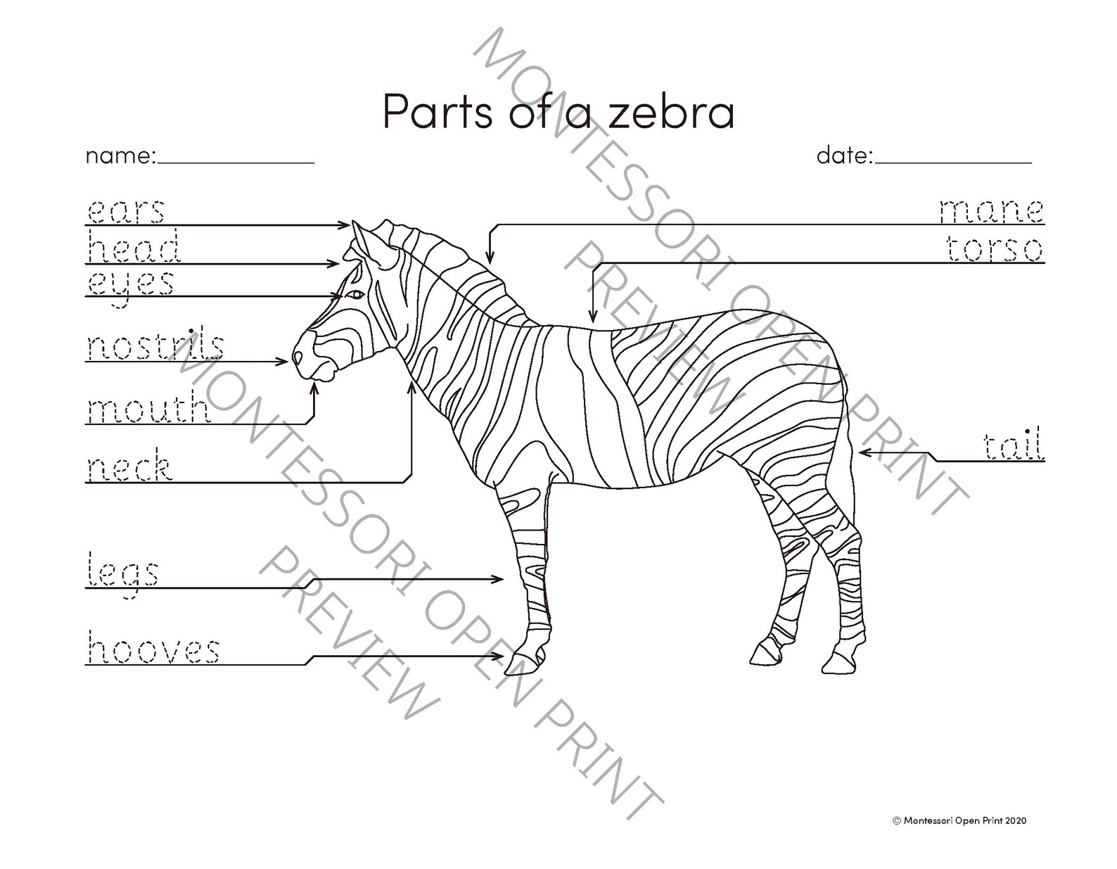 Montessori 3 Part Cards Parts of a Zebra - Etsy