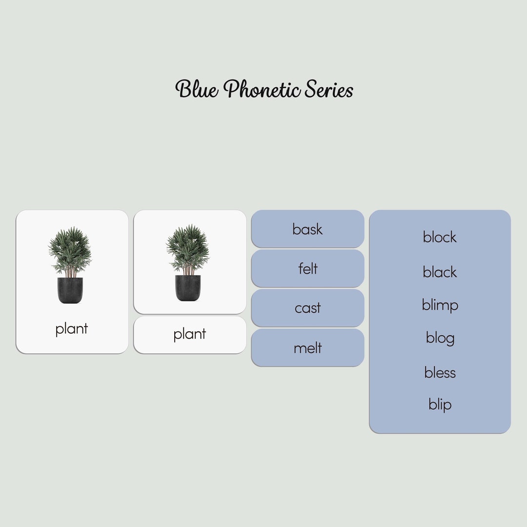 Montessori Blue Phonetic Series - Etsy