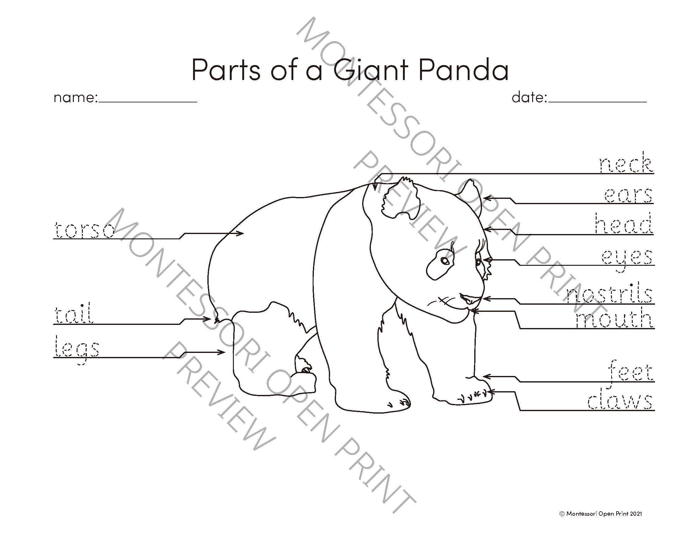 Montessori 3 Part Cards Parts of a Giant Panda - Etsy
