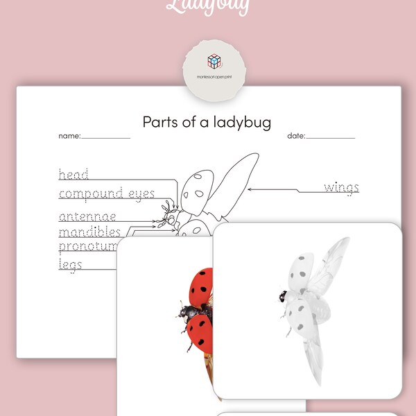 montessoriopenprint - Etsy