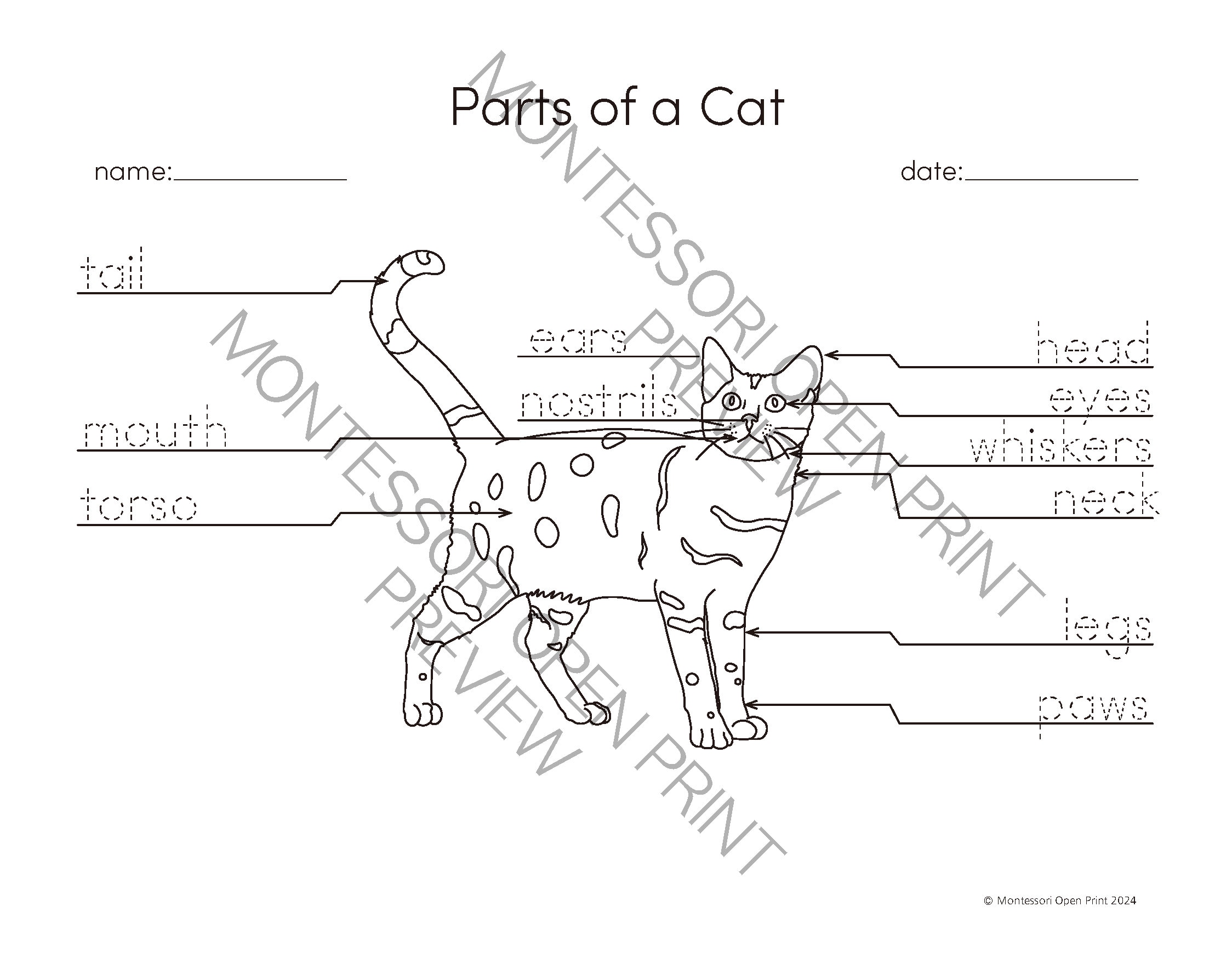 Montessori 3 Part Cards Parts of a Cat and 12 Cat Breeds - Etsy