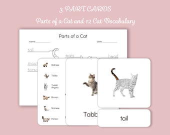 montessoriopenprint - Etsy