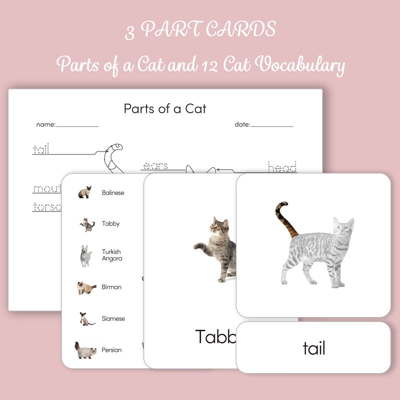 montessoriopenprint - Etsy