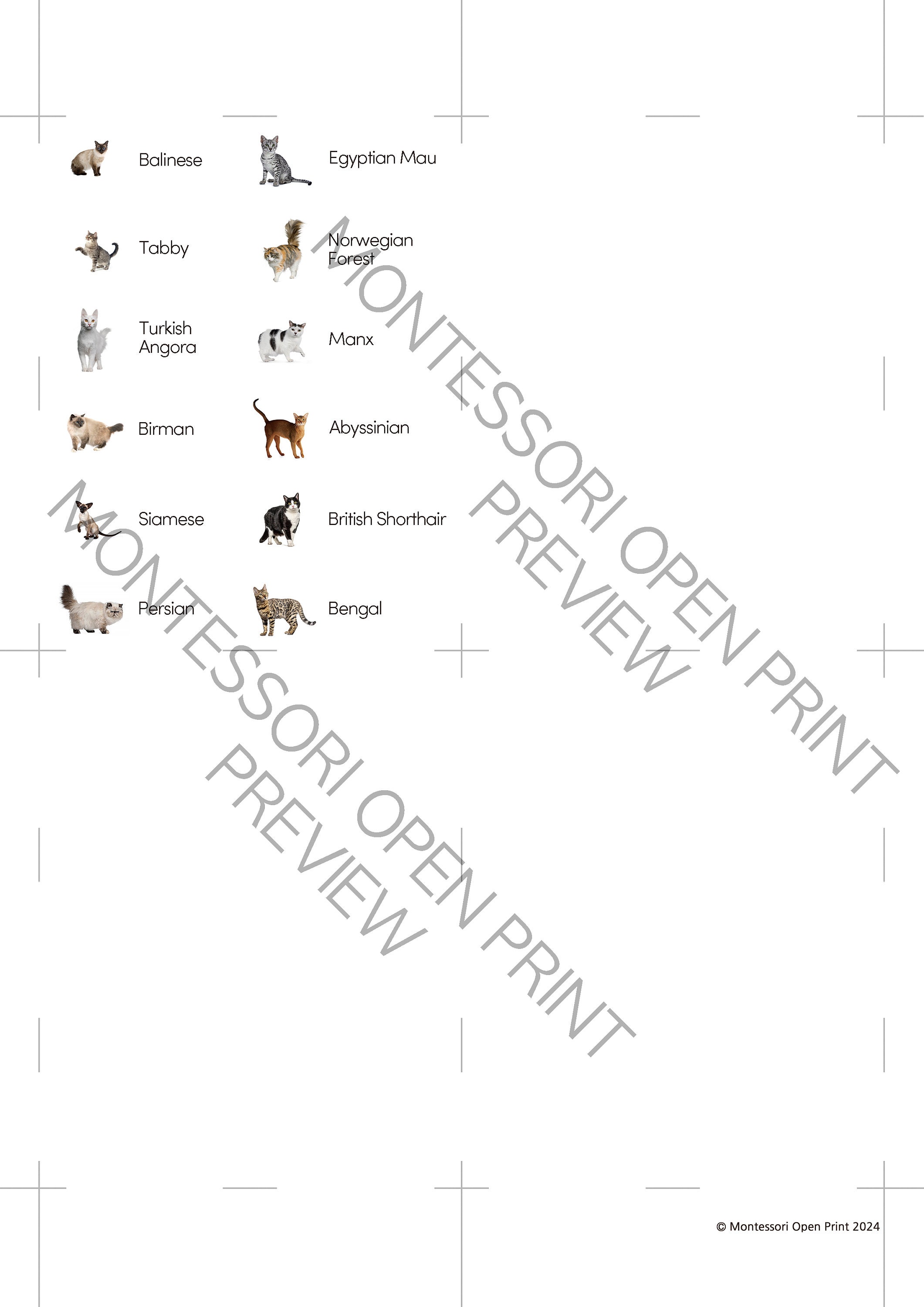 Montessori 3 Part Cards Parts of a Cat and 12 Cat Breeds - Etsy