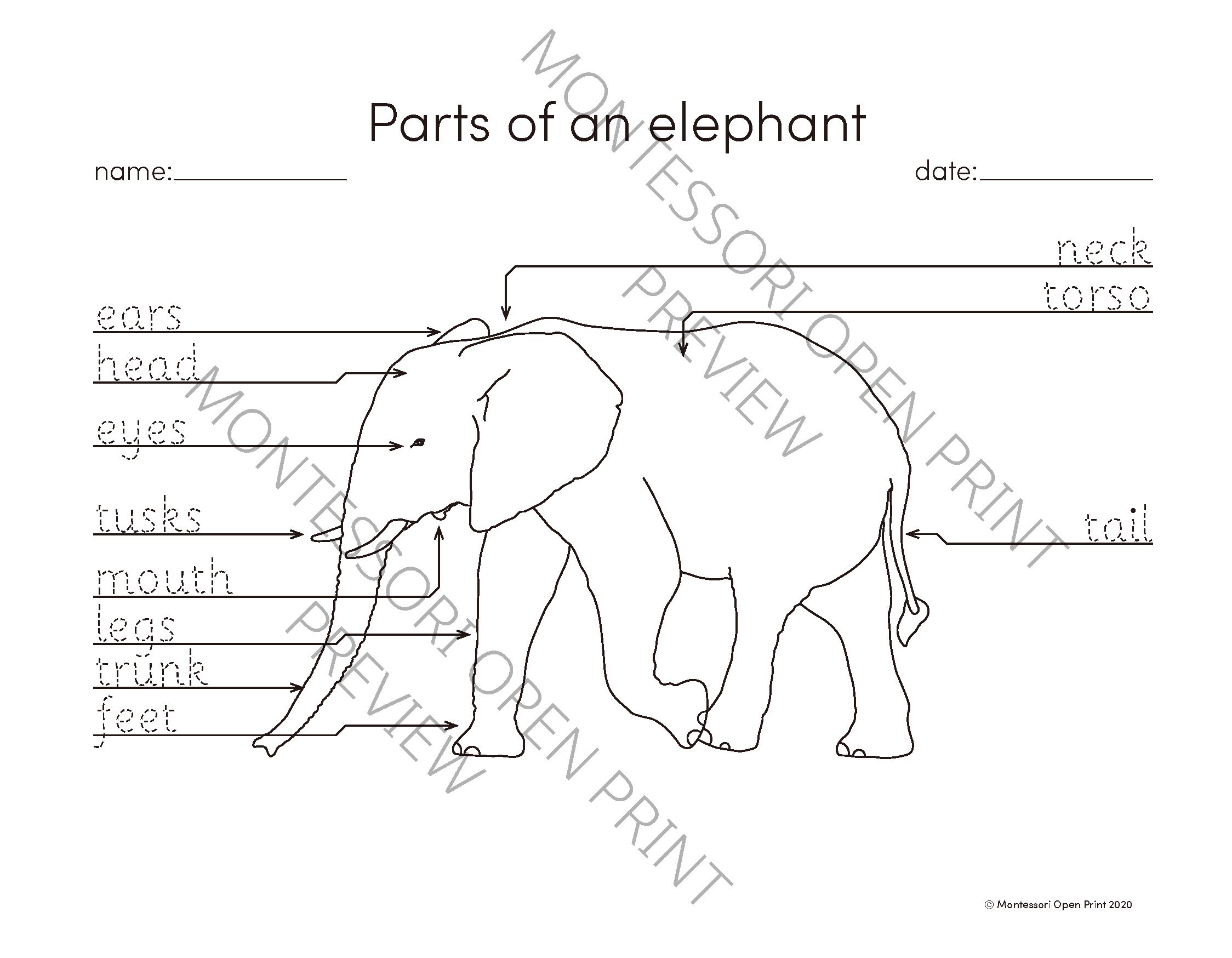 Montessori 3 Part Cards Parts of an Elephant - Etsy