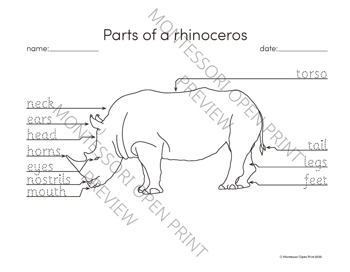 Montessori 3 Part Cards- Parts of a Rhinoceros - Etsy