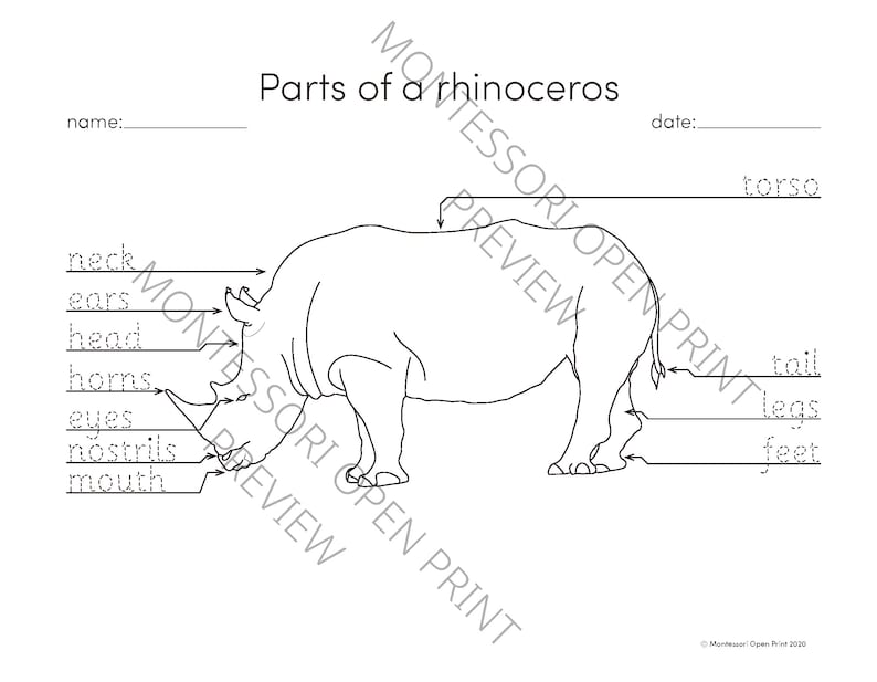 Montessori 3 Part Cards- Parts of a Rhinoceros - Etsy