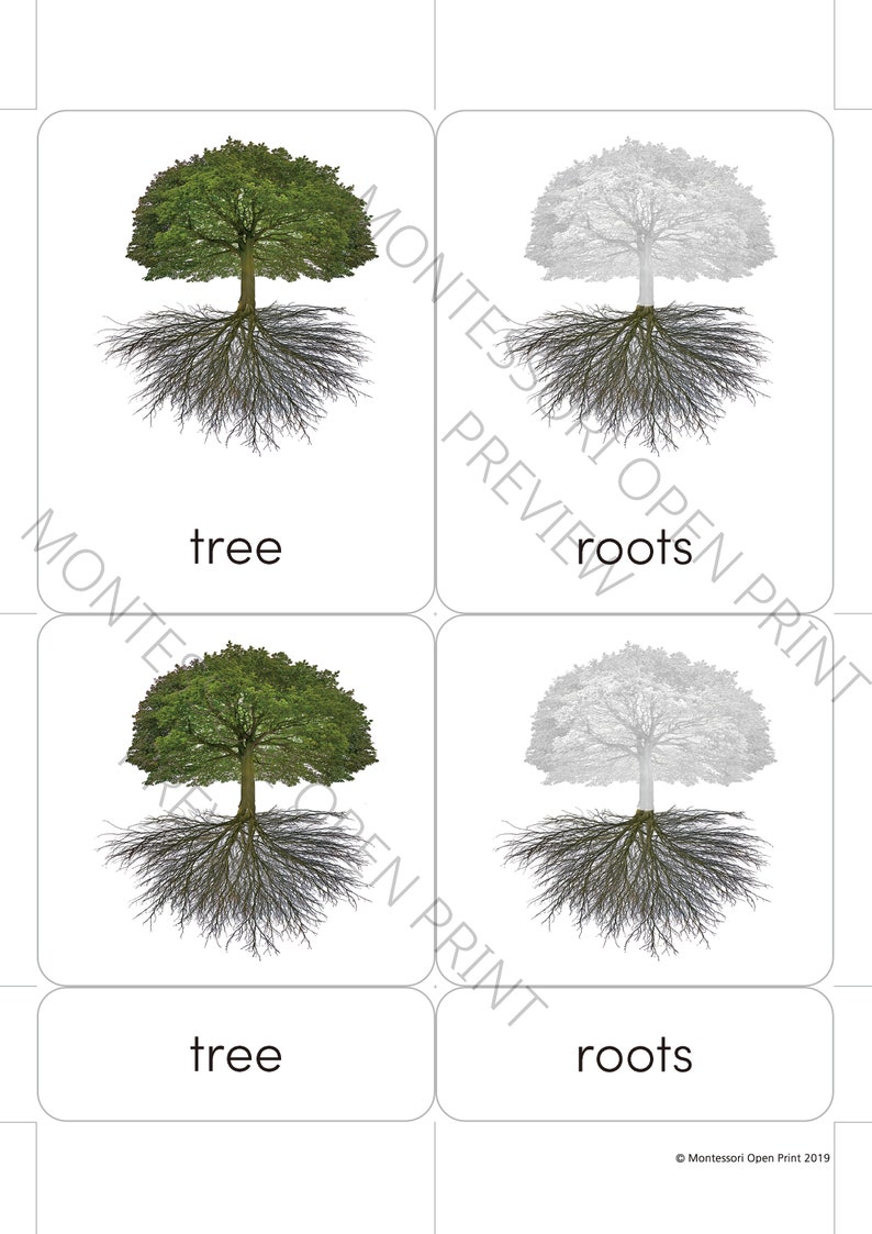 Montessori 3 Part Cards Parts of a Tree | Etsy