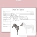 Montessori 3 Part Cards Parts of a Zebra - Etsy