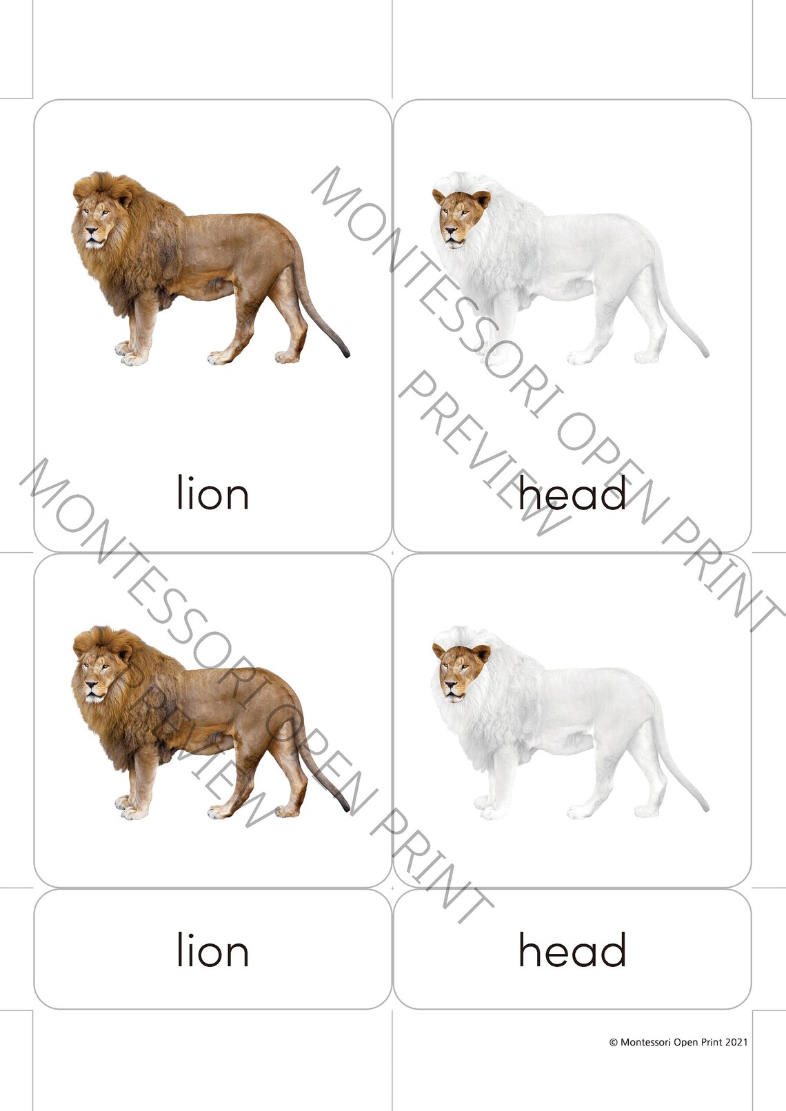 Montessori 3 Part Cards Parts of a Lion - Etsy