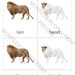 Montessori 3 Part Cards Parts of a Lion - Etsy