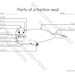 Montessori 3 Part Cards Parts of a Harbor Seal - Etsy
