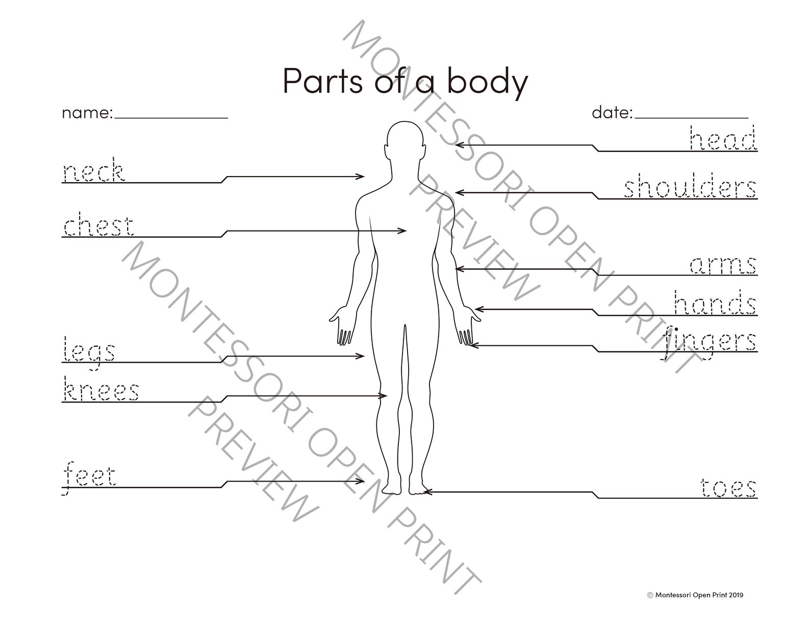 Montessori 3 Part Cards Parts of a Body - Etsy