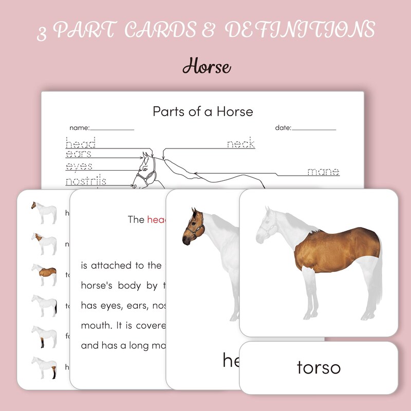 montessoriopenprint - Etsy