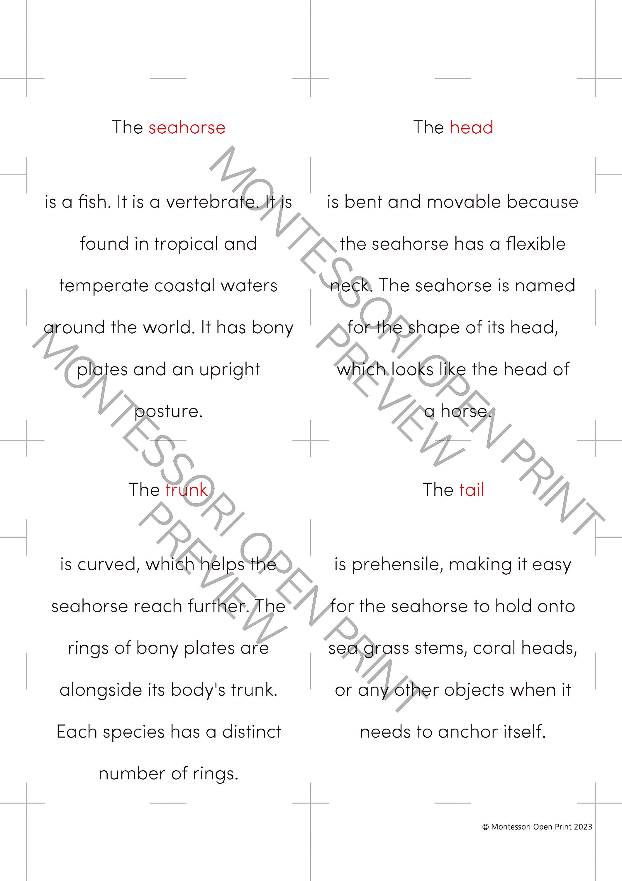 Montessori 3 Part Cards and Definitions Parts of a Seahorse - Etsy