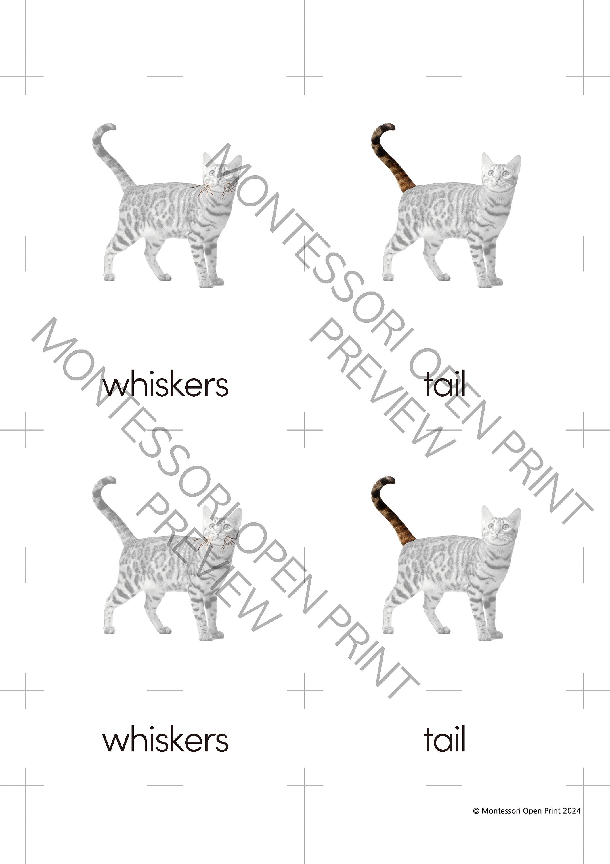 Montessori 3 Part Cards Parts of a Cat and 12 Cat Breeds - Etsy