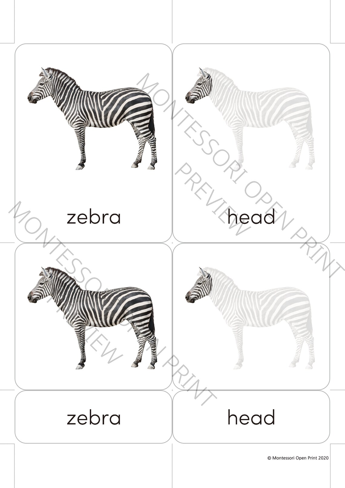 Montessori 3 Part Cards Parts of a Zebra - Etsy