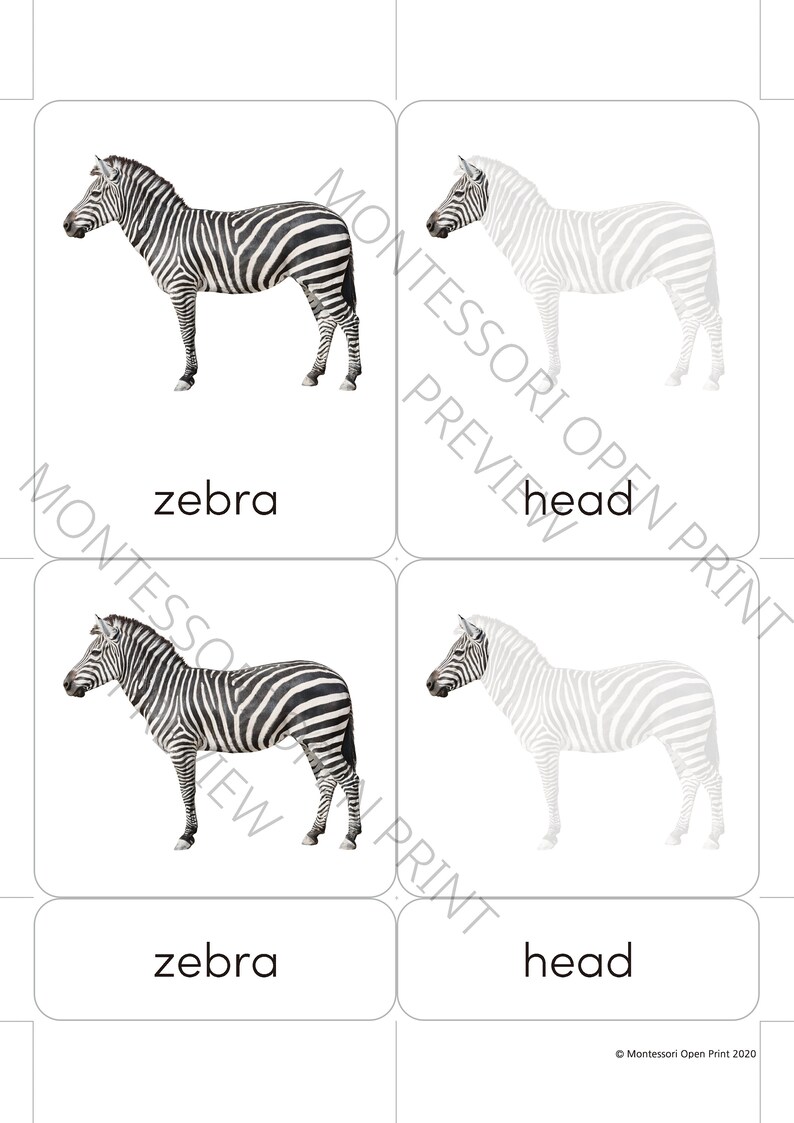 Montessori 3 Part Cards Parts of a Zebra - Etsy