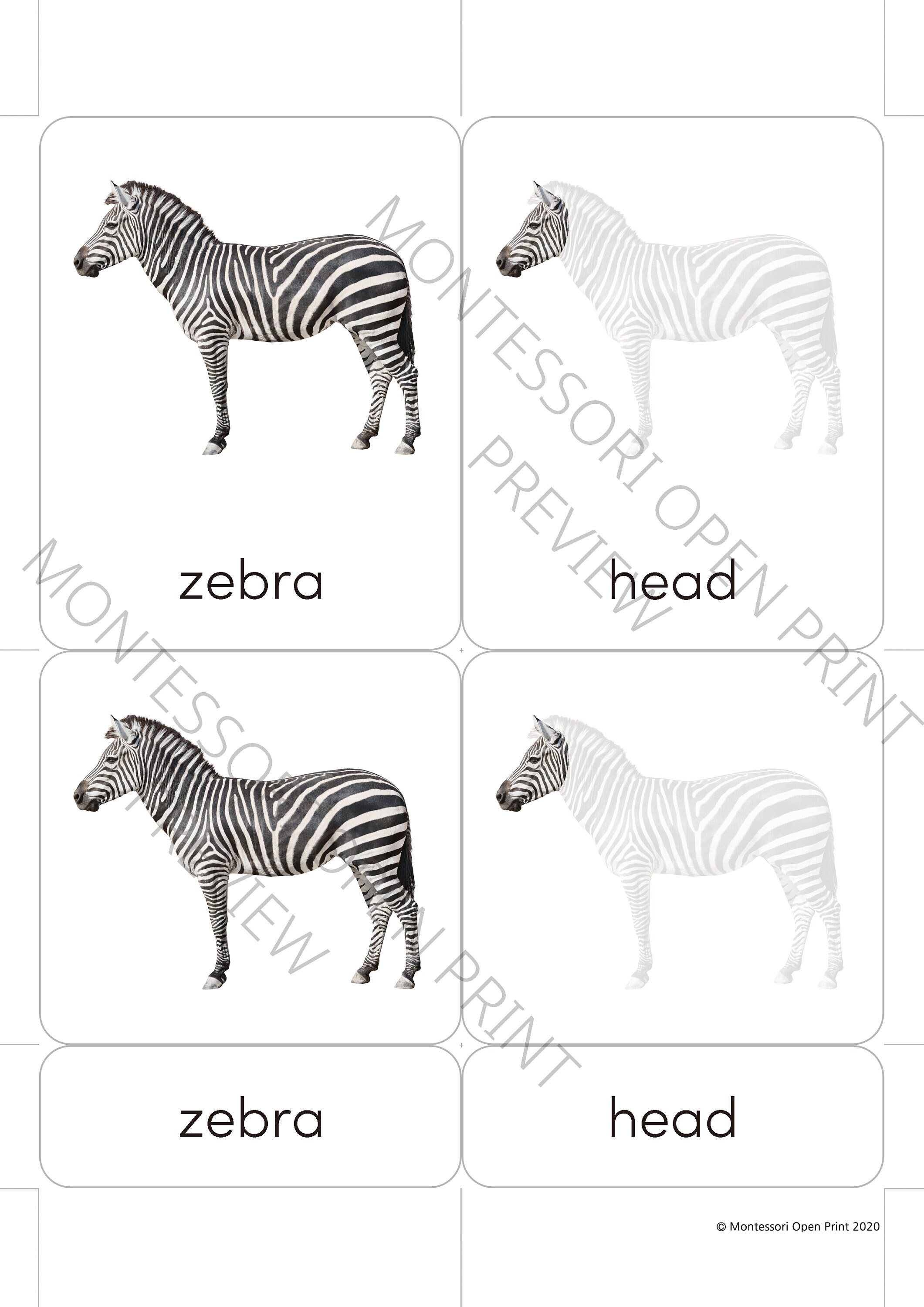 Montessori 3 Part Cards Parts of a Zebra - Etsy