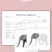 Montessori 3 Part Cards Parts of an Elephant - Etsy