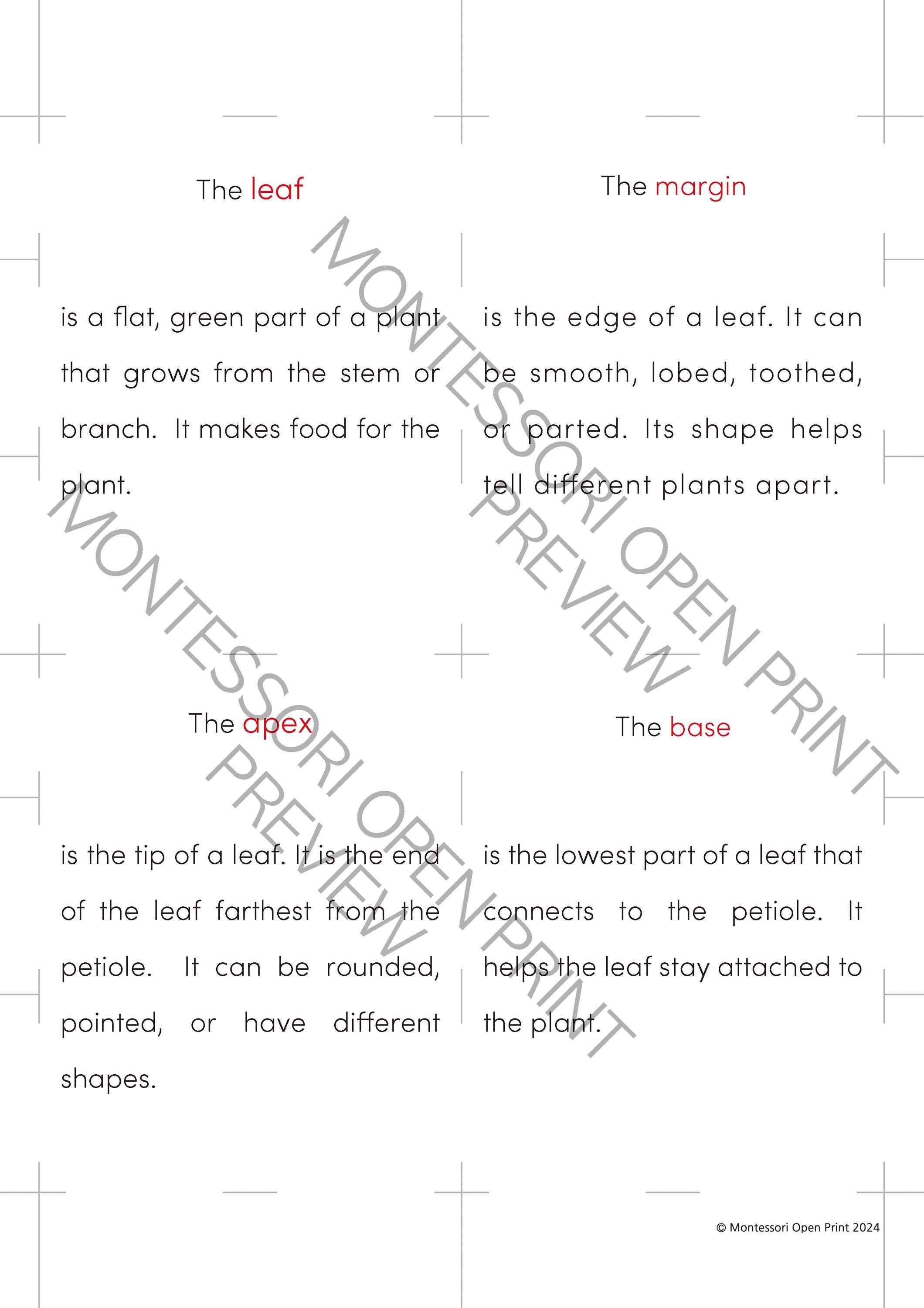 Montessori 3 Part Cards and Definition Cards Parts of a Leaf - Etsy